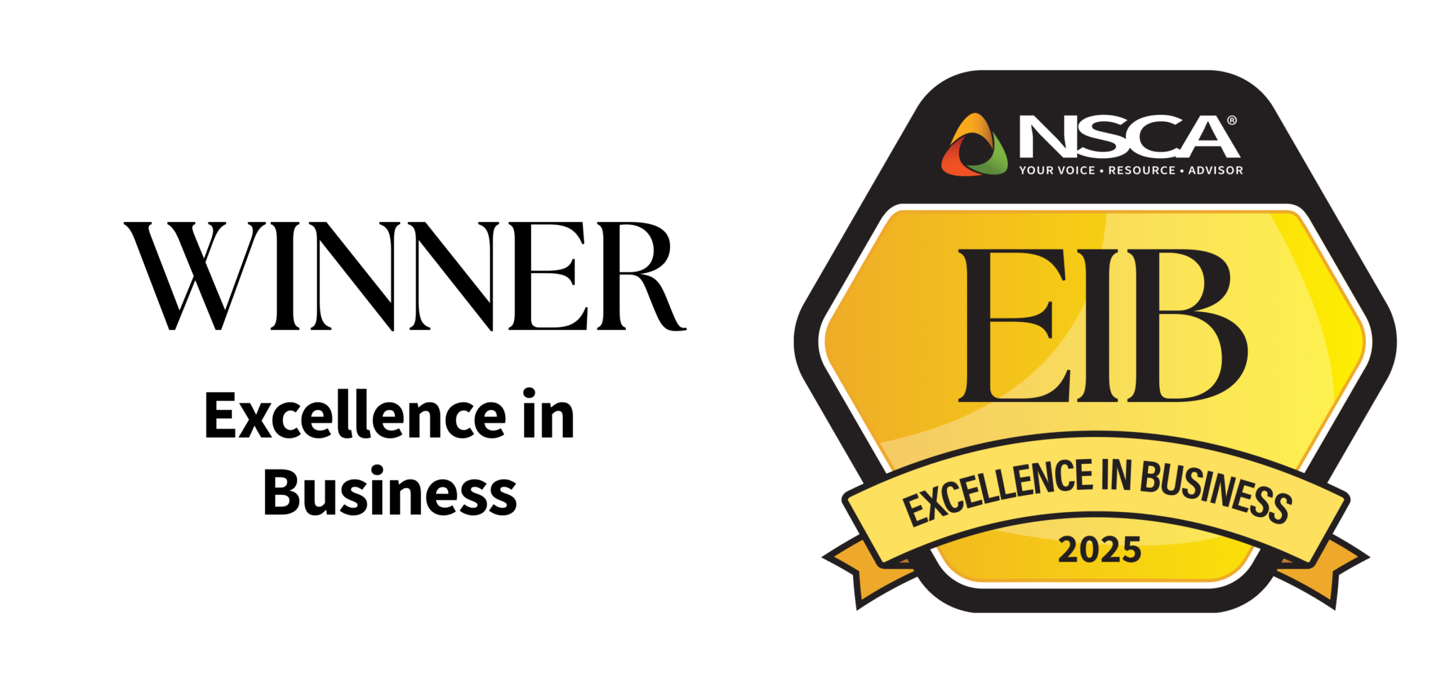 2025 Excellence in Business Award Winners | NSCA News | NSCA